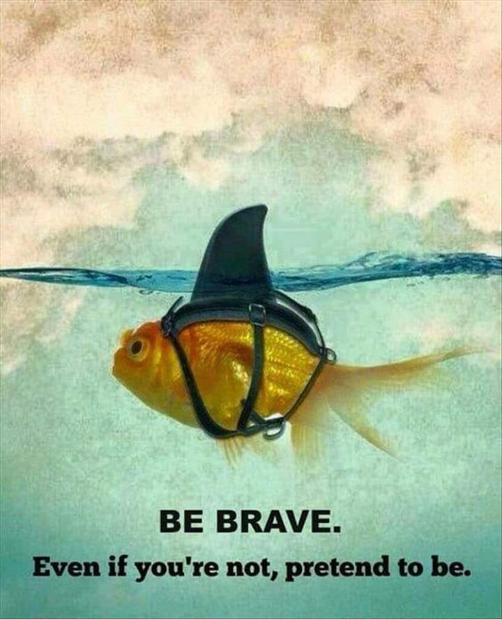 Be brave. If you don’t feel very brave, here’s some inspiration for ...
