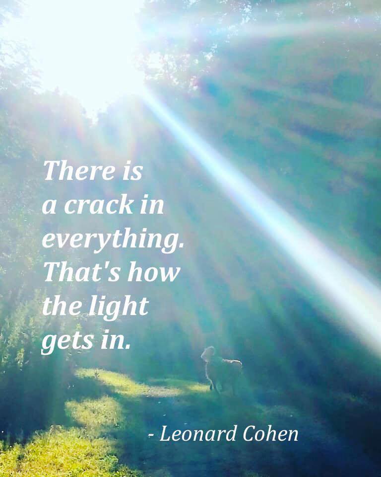 There is a crack in everything. That’s how the light gets in. – Tamara ...