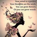 Your mind is a garden, Your thoughts are the seeds. – Tamara Kulish