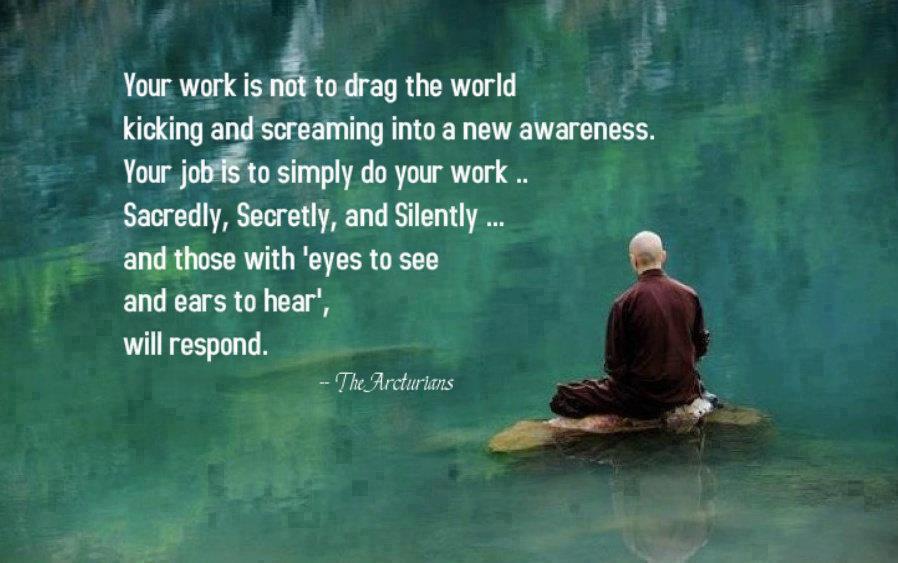 Your work is not to drag the world kicking and screaming into a new ...