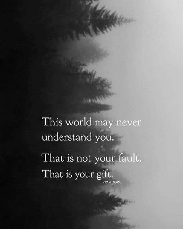 This world may never understand you. That is not your fault, that is ...