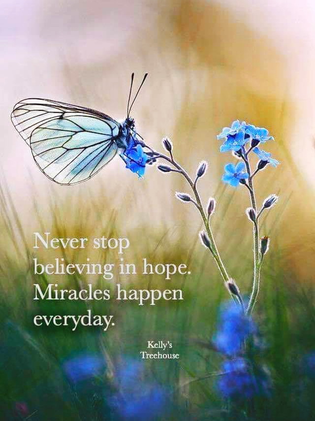 Never Stop believing in hope. Miracles happen everyday. – Tamara Kulish