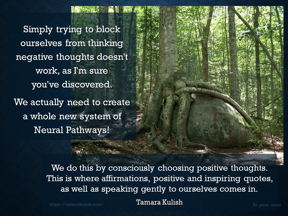 Changing our thoughts and habits Part 1: how does it physically work in ...