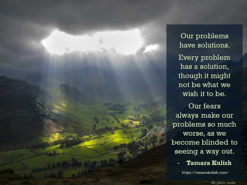 Don’t be pushed by your problems; be led by your dreams. – Tamara Kulish