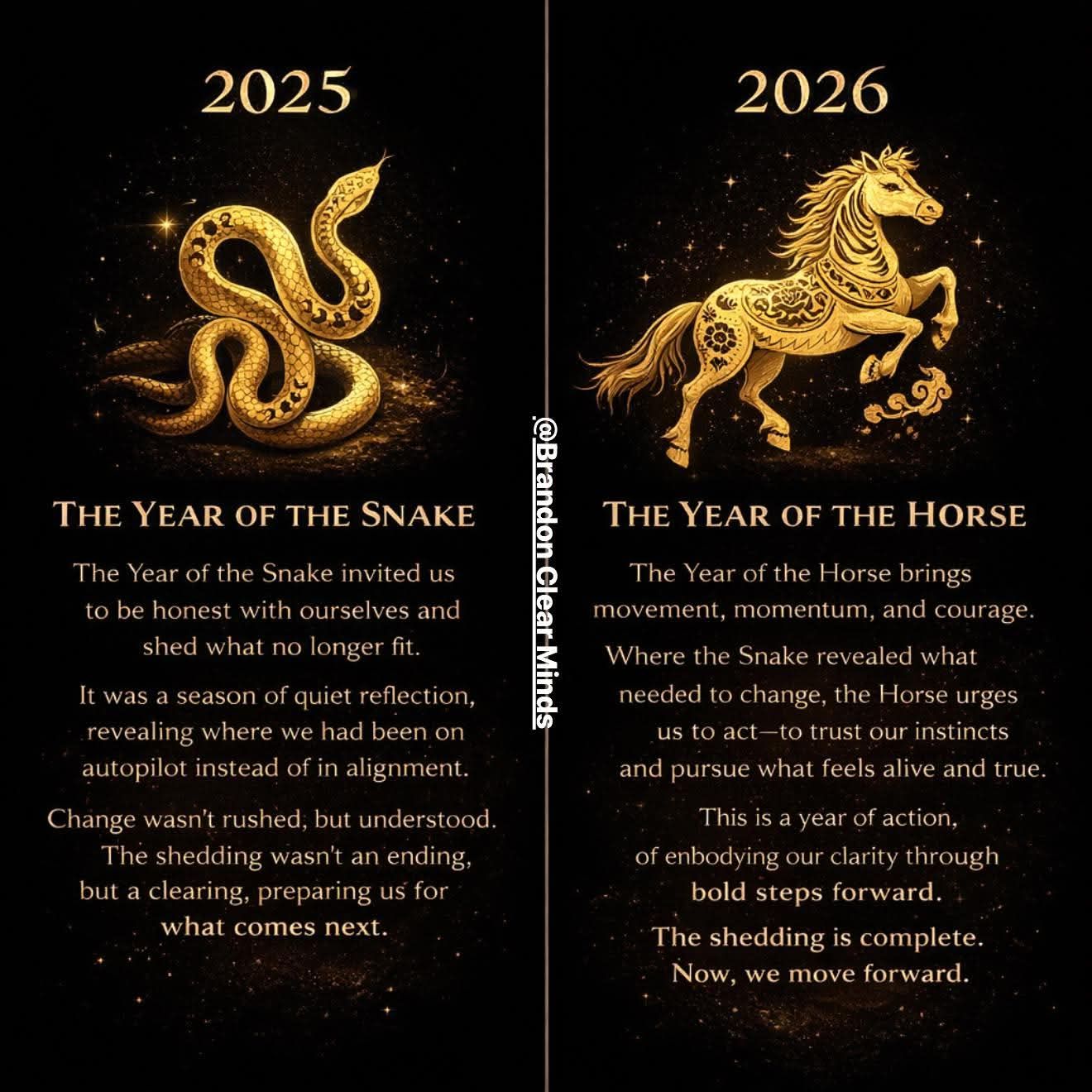 2025 Snake becomes 2026 Horse: what does it mean? – Tamara Kulish